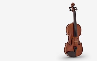 Orchestral Instruments | Woodwind, String & Brass at Gear4music